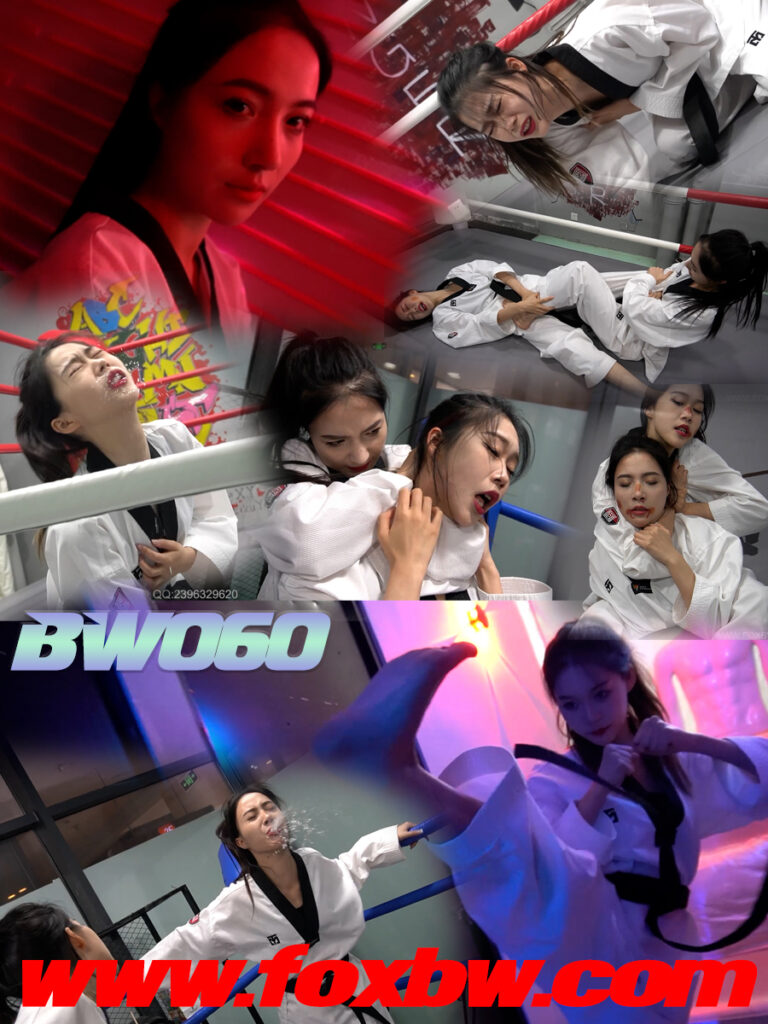 ALL VIDEOS（所有视频） – FOXBW